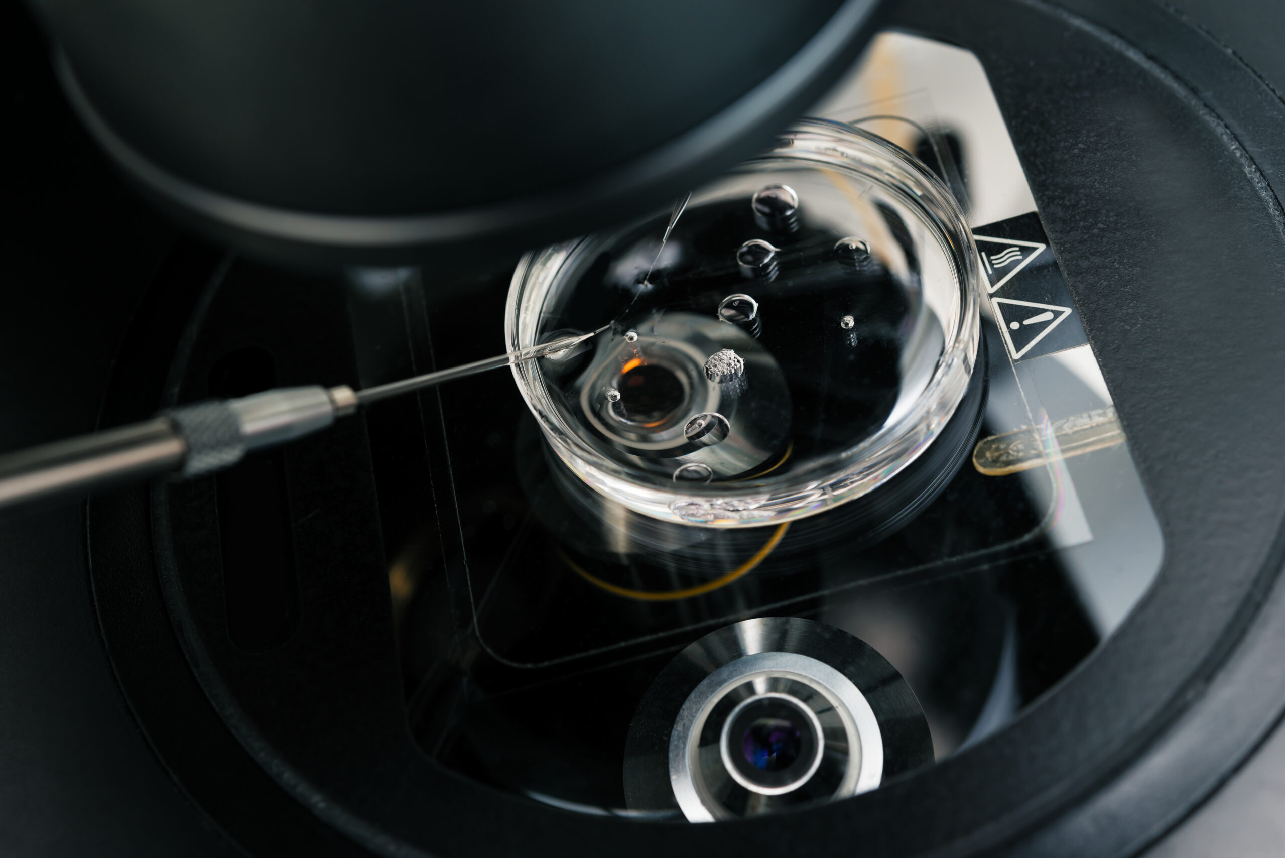 Evidence-based assessment of human oocytes, zygotes and embryos: A new ...